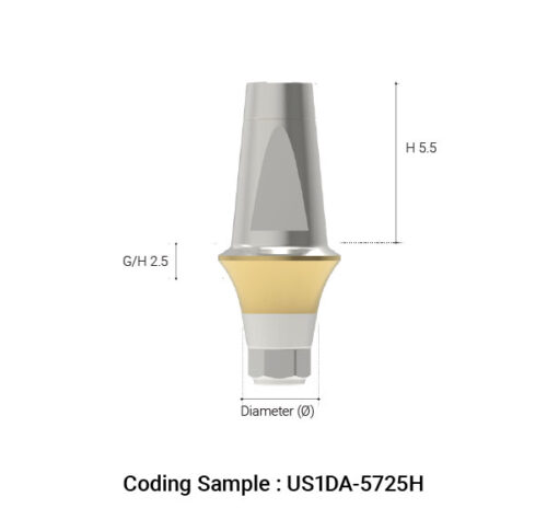 Dual Abutment Hex - symphonyimplant